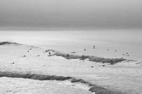 Drop Ins | Adam Crews Imagery