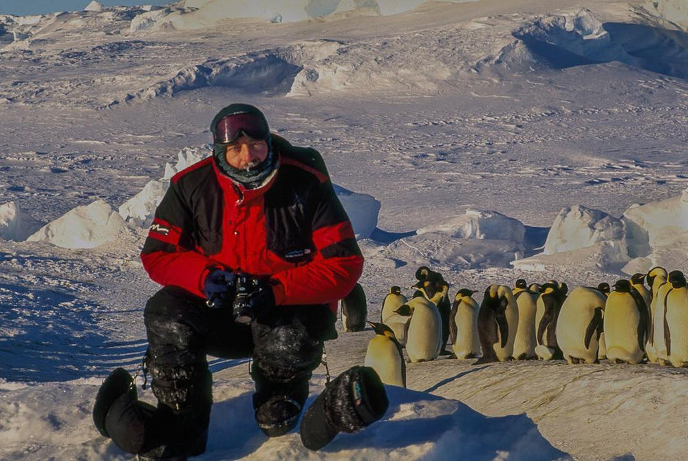 Frans Lanting Photography: Looking at Nature in the Eye | Case Study ...