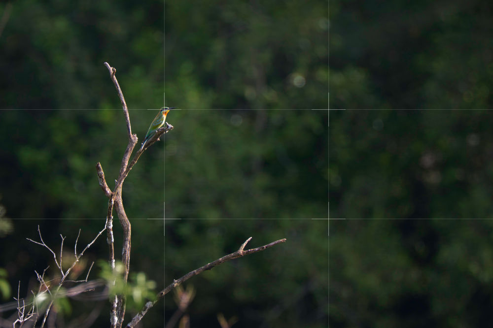 5 Photography Composition Techniques and Concepts for Beginners ...