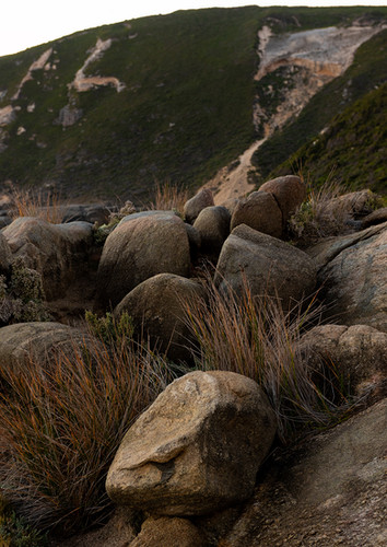 Garden | Gathering Light