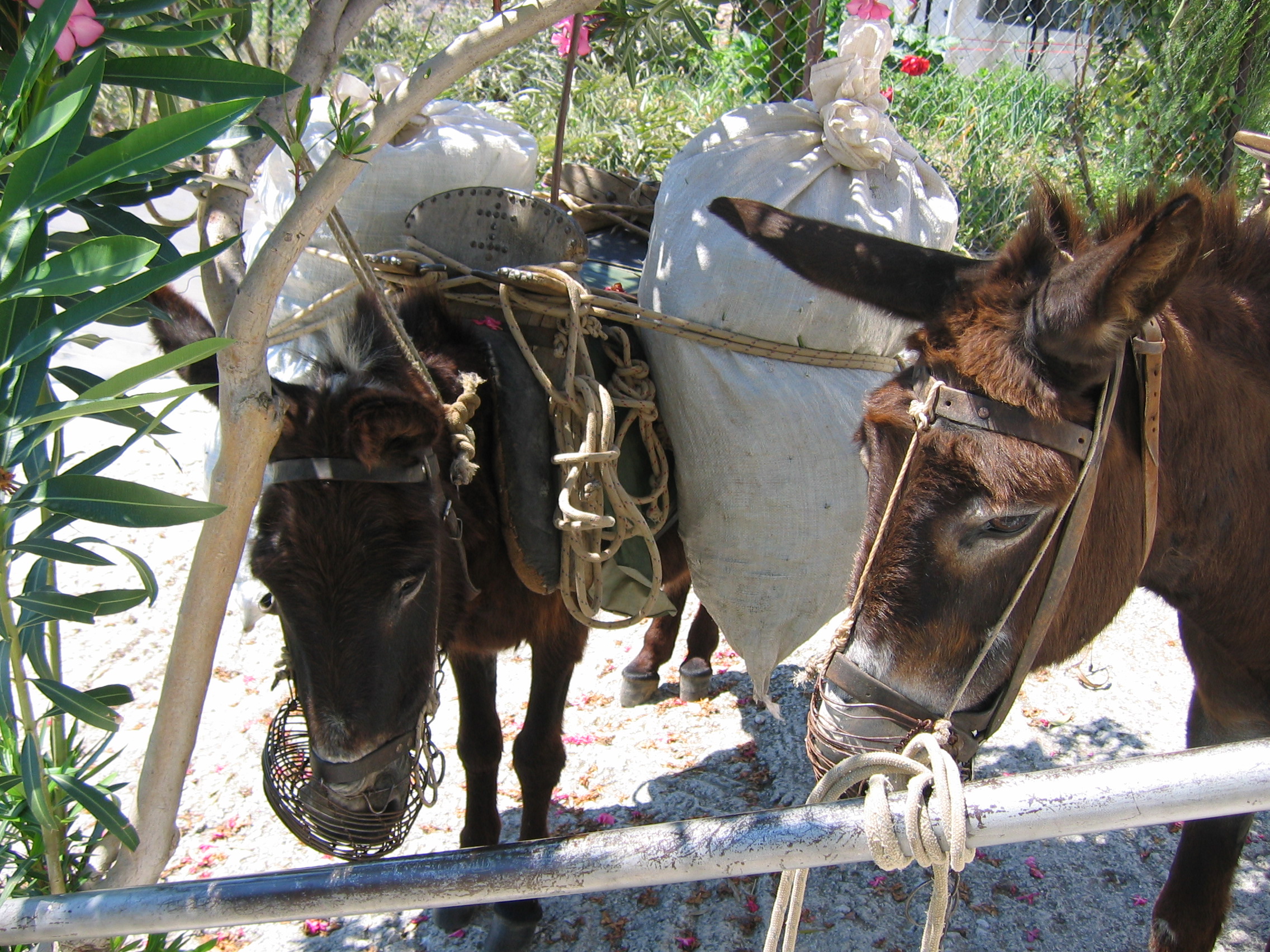 Home | Helios travel centre