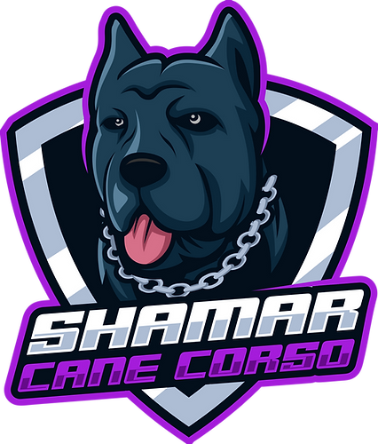 Cane Corso Breeder | Shamar Cane Corso | Montgomery