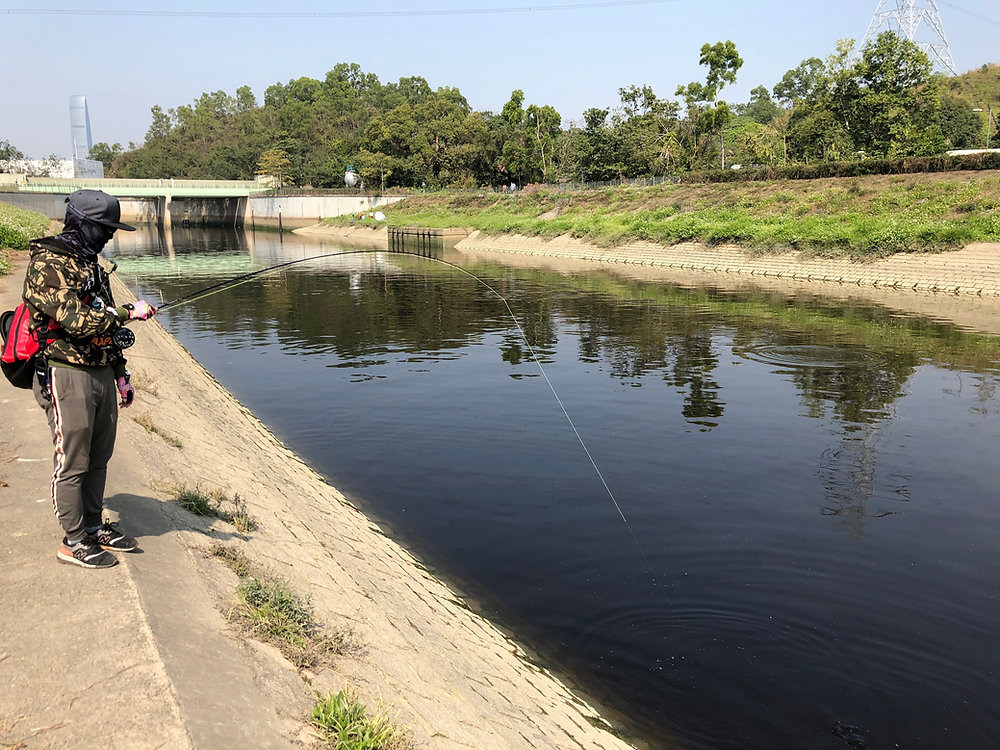 Fly-fishing Hong Kong