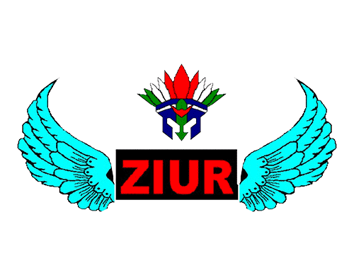 Ziur Brand | ANKEAL FRATELLI ENTERPRISES