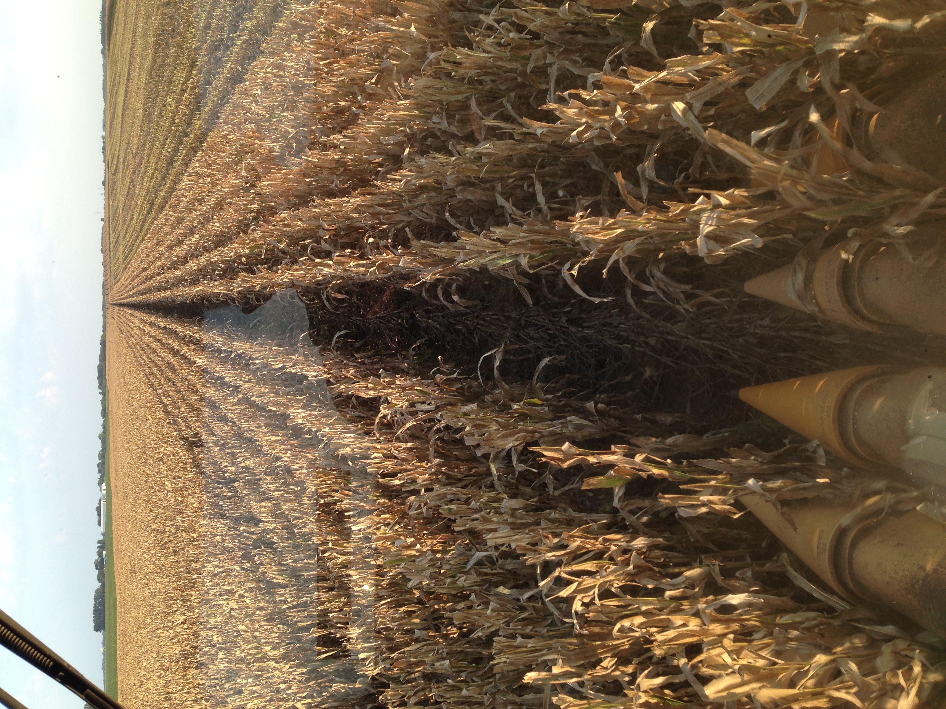 Tim Couser | Greenfield Farms, Inc. | United States