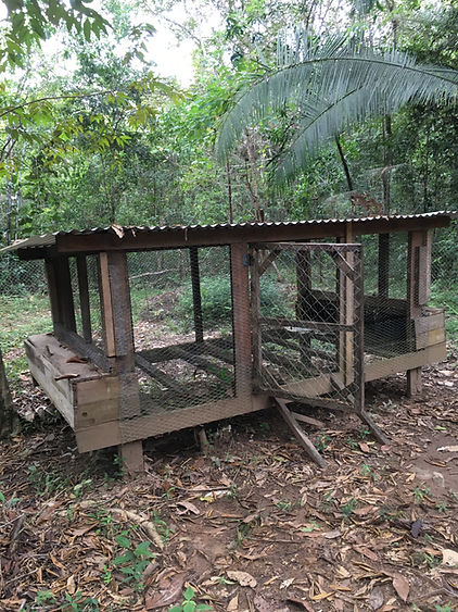 Belize Organic Family Farming