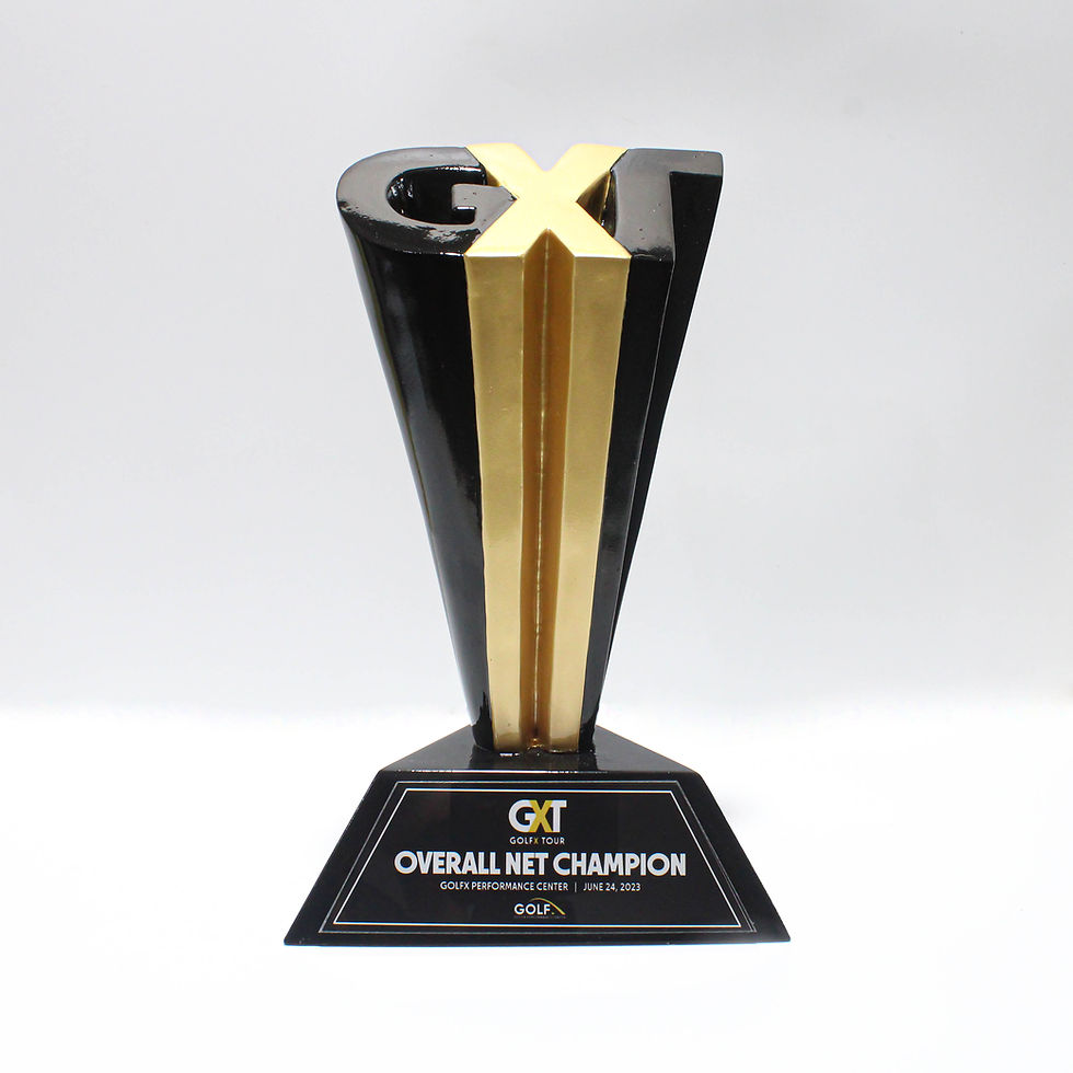 Custom Resin Recognition Trophies | Awards Central Philippines
