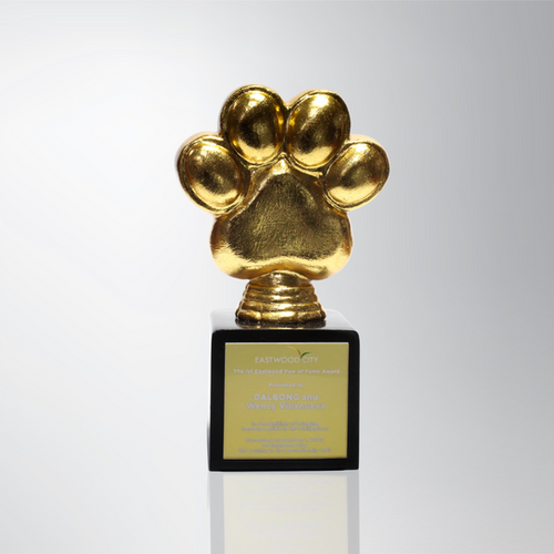 RA12- Resin Trophy | awards-central