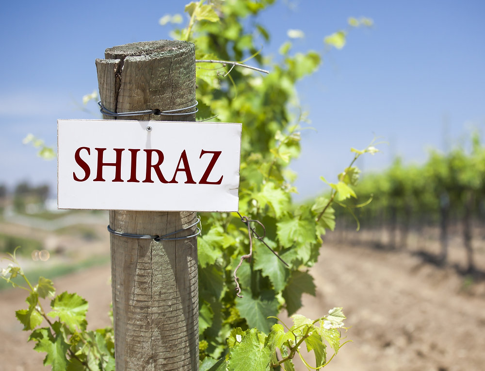 All you need to know about Shiraz
