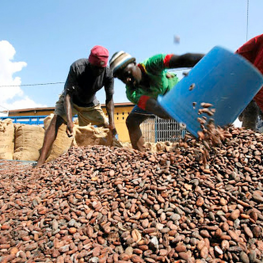 Why aren’t coffee and cocoa countries rich?