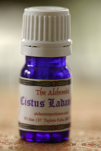 Cistus Labdanum | the-alchemist-store