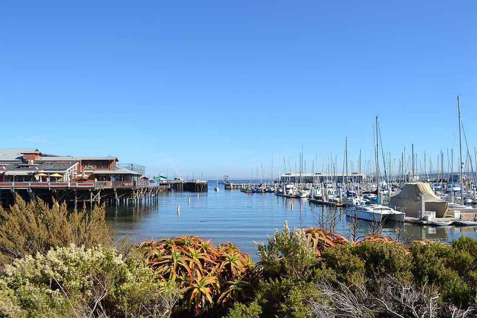 USA Ouest | Monterey Bay | Carmel | 17 Miles Drive | Jacky Grasser