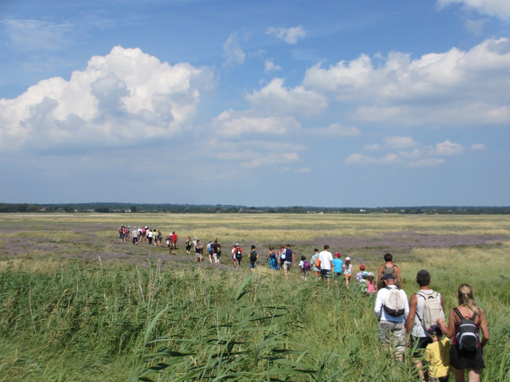 Activités grand public | cpiewix