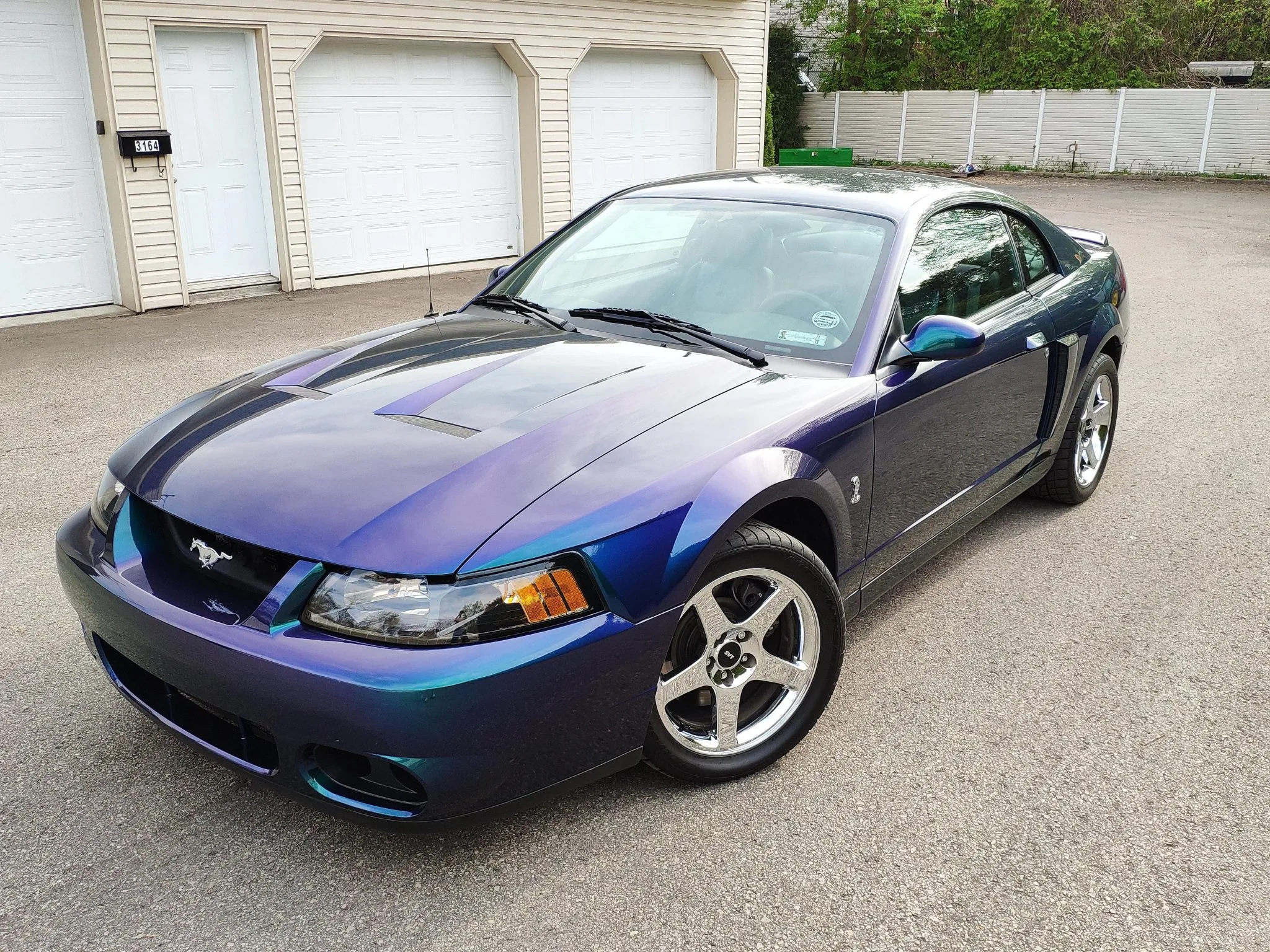 2004 Mustang SVT Cobra Mystichrome ''Terminator'' | LongtinAutoSport