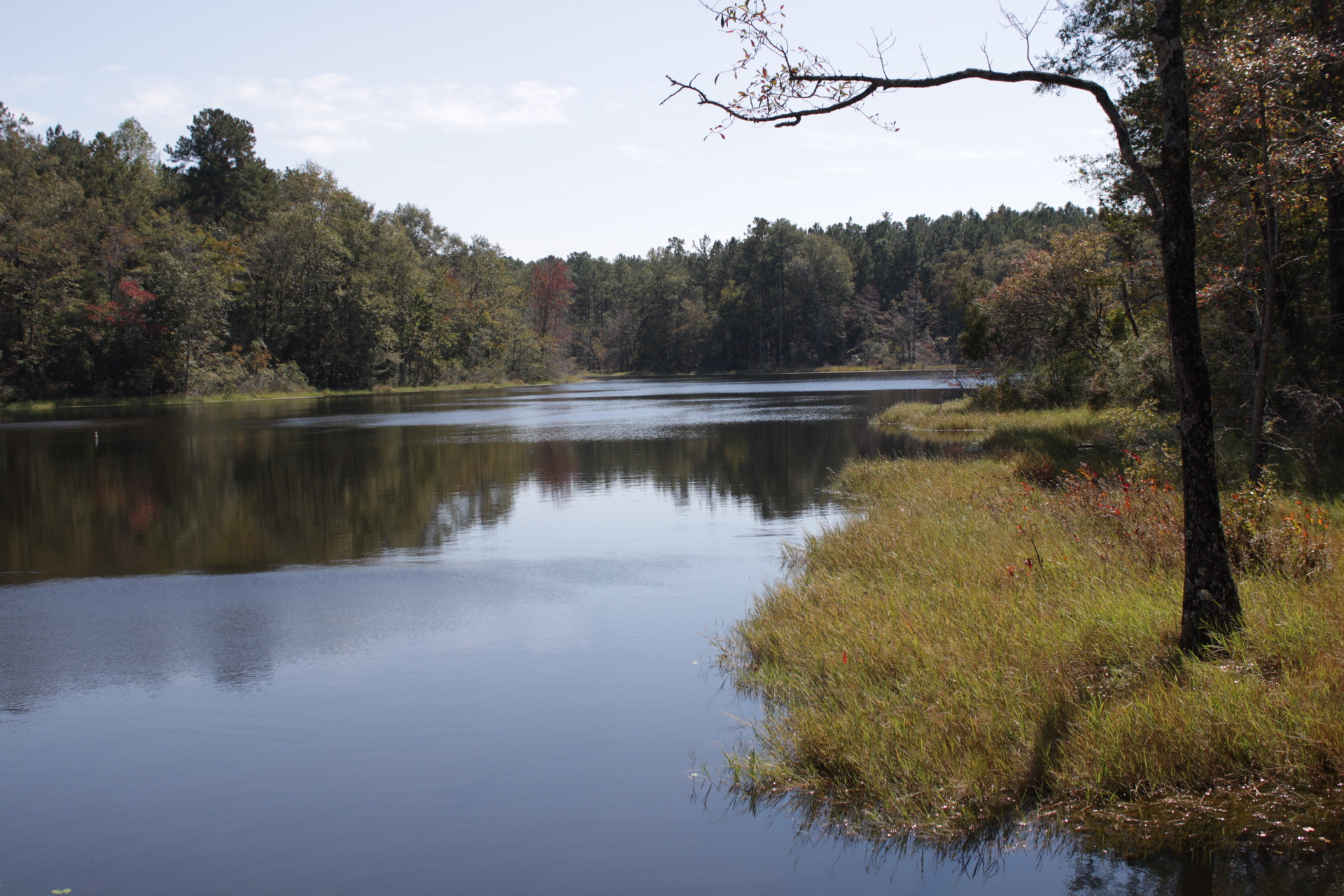Lake Thoreau's Trail: A Blend of Charm and Challenges