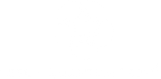 Leela Quantum Tech | DaVinciCrystals