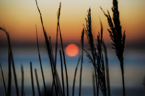 "Softly" | Jen Miles Photograph