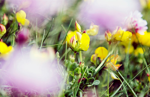 "The Space Between" | Jen Miles Photograph