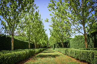 High Country Gardens, Gallery & Maze : Mansfield Victoria : Home