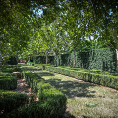 High Country Gardens, Gallery & Maze : Mansfield : Victoria : Gallery