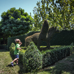 High Country Gardens, Gallery & Maze : Mansfield : Victoria : Gallery