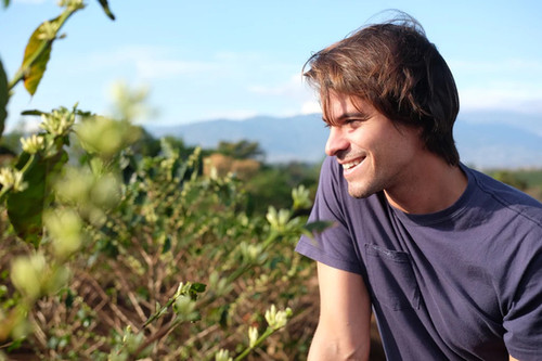 Costa Rica | Obata Honey | Single Origin | Tazonricocoffee