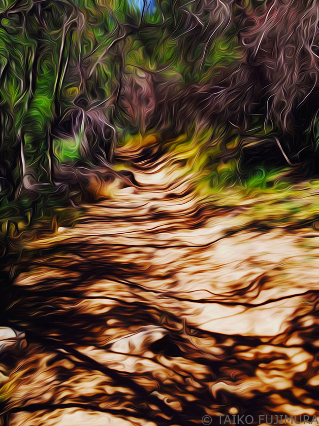 Project Based Artwork (2007~) | Taiko Fujimura