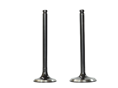 Engine Valve MB02 | TRANZAC