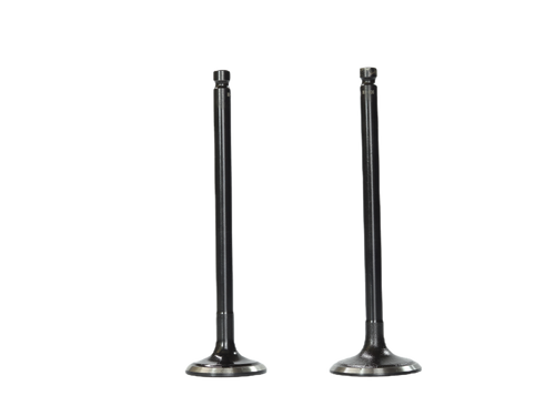 Engine Valve BW02 | TRANZAC