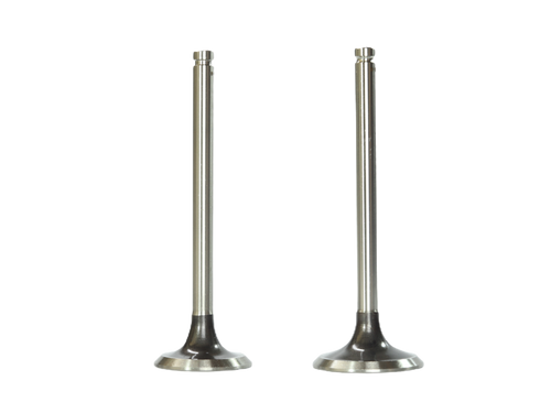 Engine Valve VW04 | TRANZAC