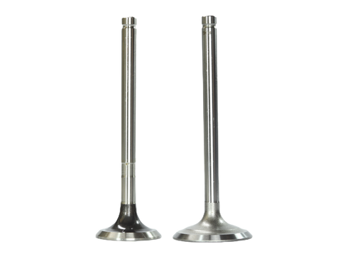 Engine Valve MZ03 | TRANZAC