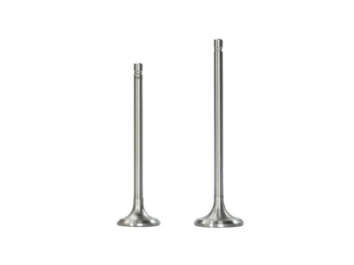 Engine Valve VW02 | TRANZAC