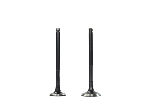 Engine Valve NS03 | TRANZAC