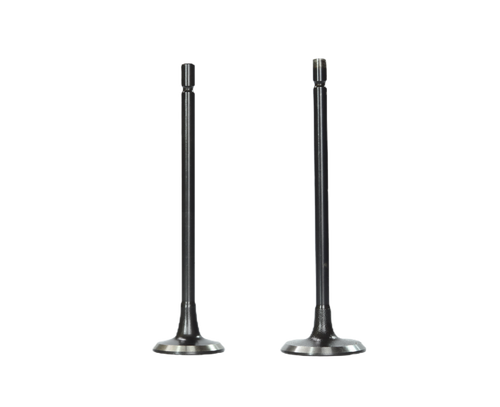 Engine Valve AD02 | TRANZAC