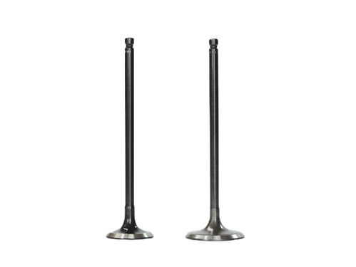 Engine Valve NS01 | TRANZAC
