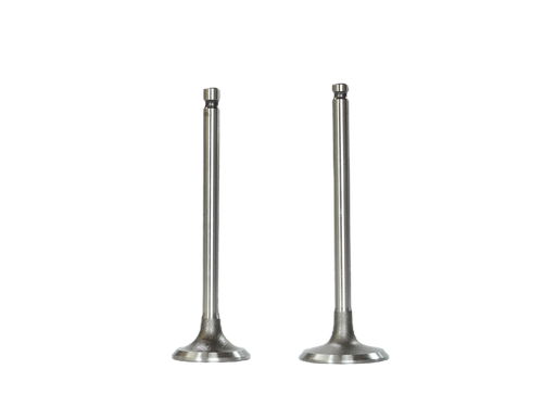 Engine Valve VW03 | TRANZAC