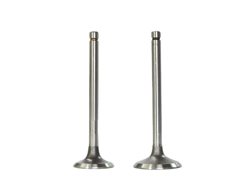 Engine Valve NS02 | TRANZAC