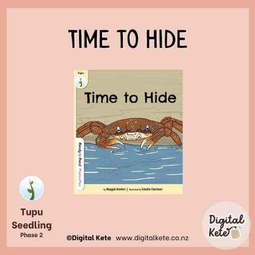 Time to Hide - Reading Response Resource | Digital Kete