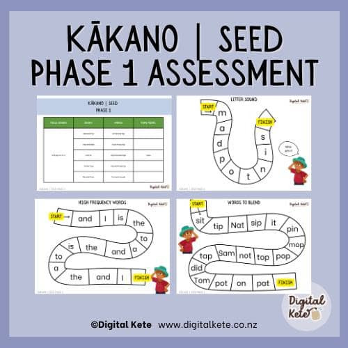 Kākano Phase 1 Assessment | Digital Kete