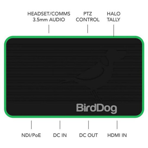 BirdDog Flex 4K HDMI | SIVISA