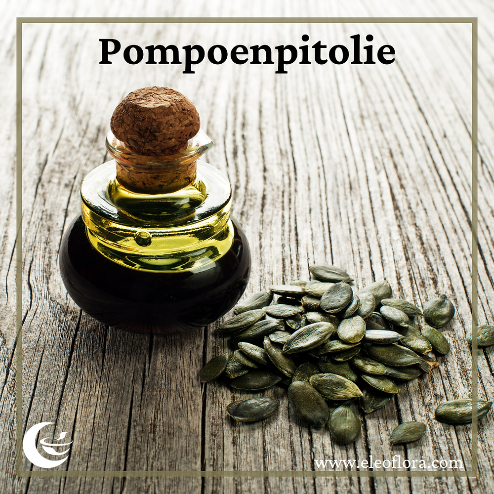 Pompoenpitolie