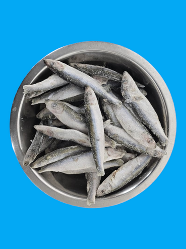 Frozen Sprats - 1kg | Northern Raw Feeds