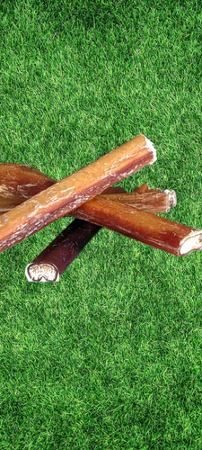 Pizzle Stick | Northern Raw Feeds