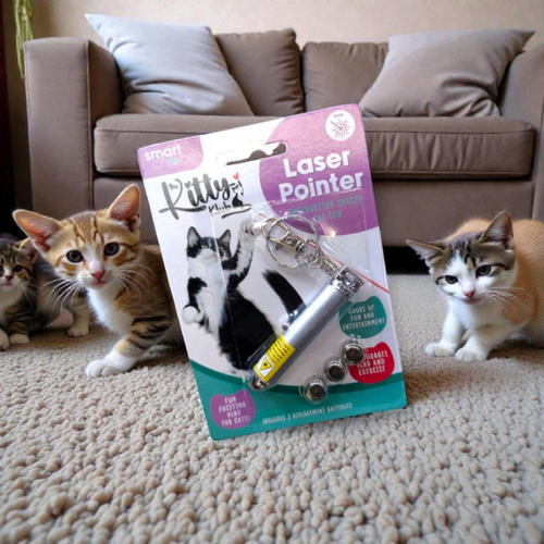 Laser Pointer For Cats Inc spare batteries | Northern Raw Feeds