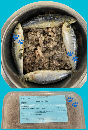 Tripe & Fish - 454g | Northern Raw Feeds
