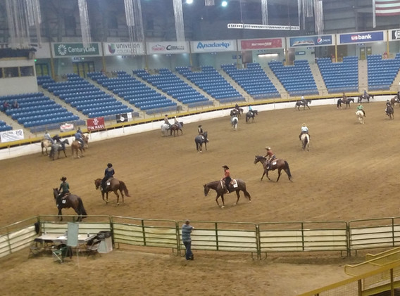 Equine Event Management | FoxShowServices.com