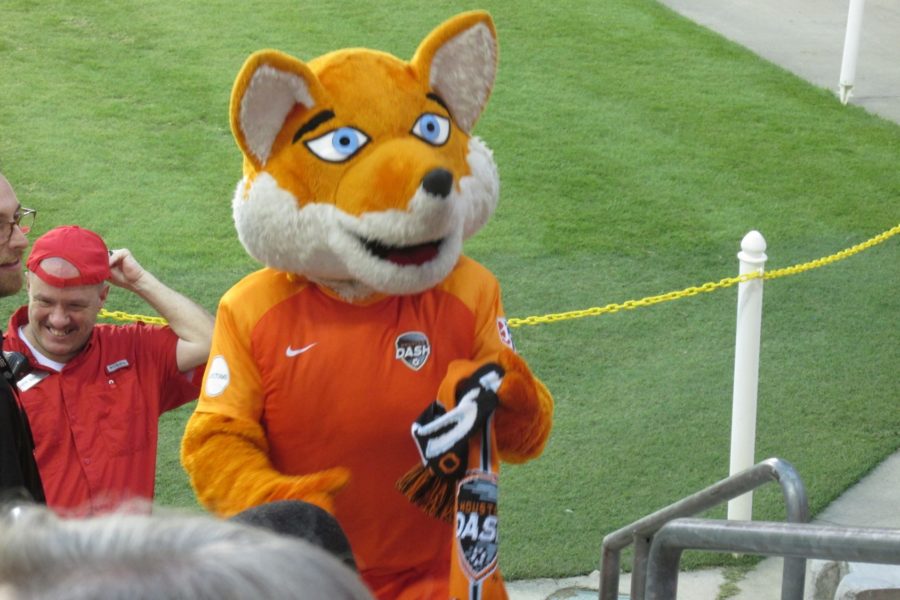 Shell Energy Stadium - Houston Dash