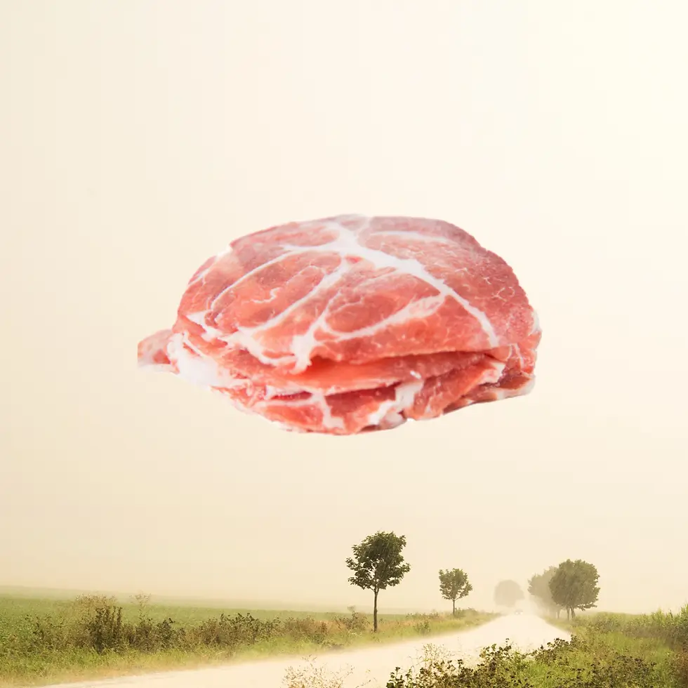 Frozen Fresh Pork in Singapore | YSH Farm