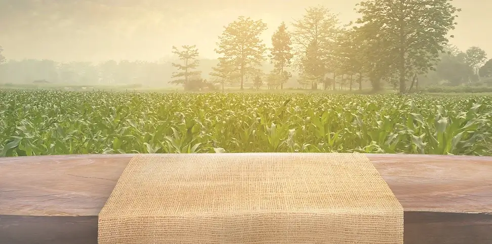 Fresh Poultry & Duck Supplier Online Singapore | YSH Farm