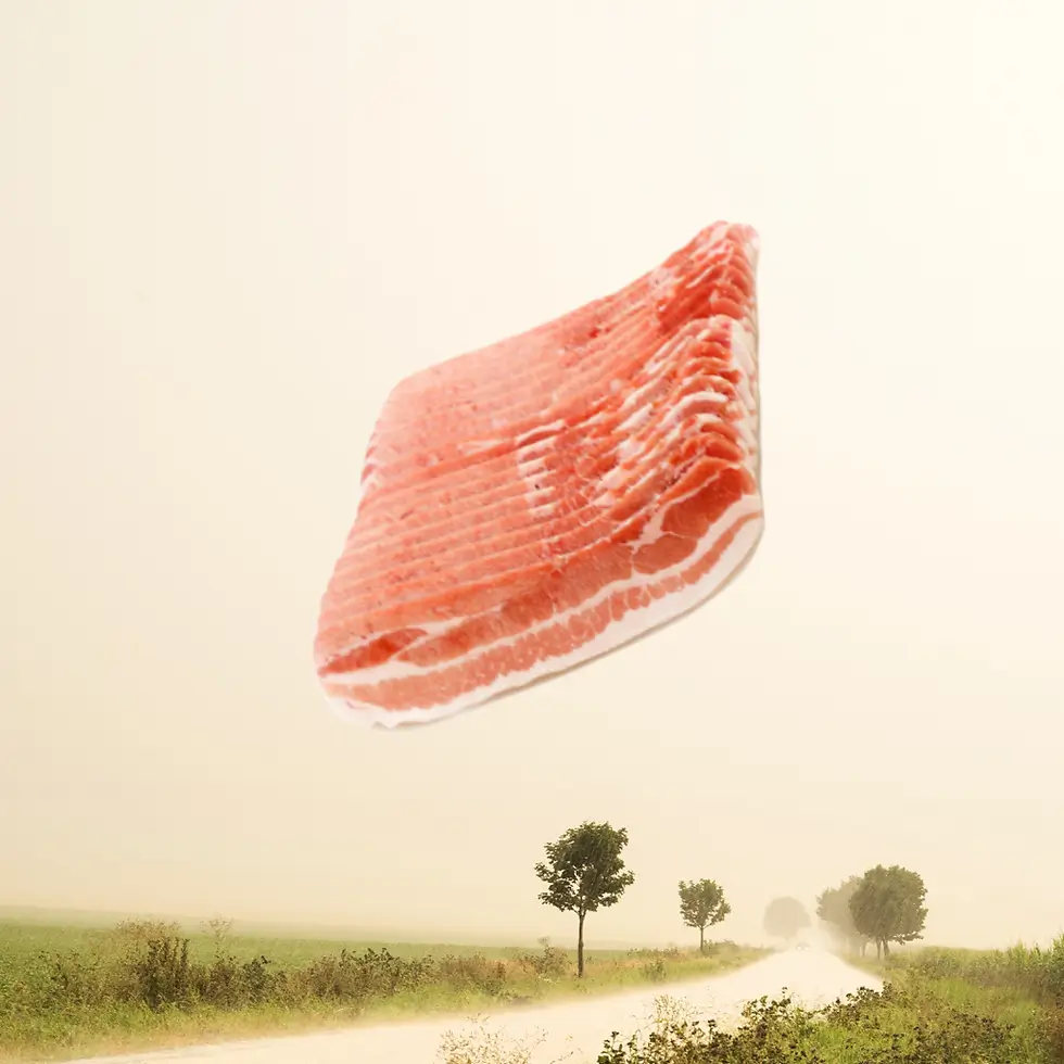 Frozen Fresh Pork in Singapore | YSH Farm